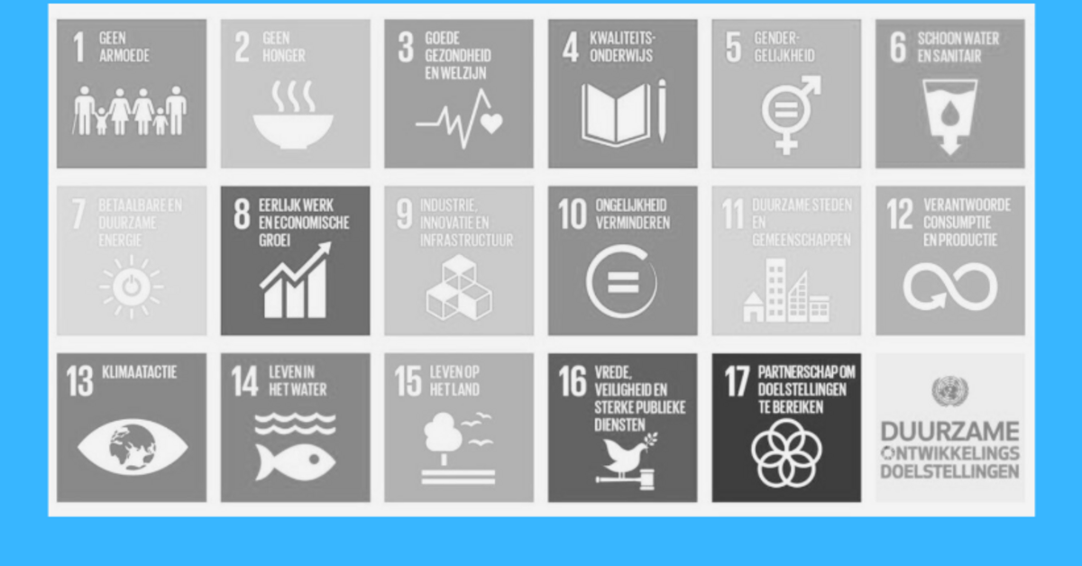 Duurzame ontwikkelingsdoelen (SDG's) | berlare